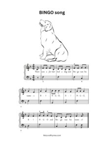 BINGO Song